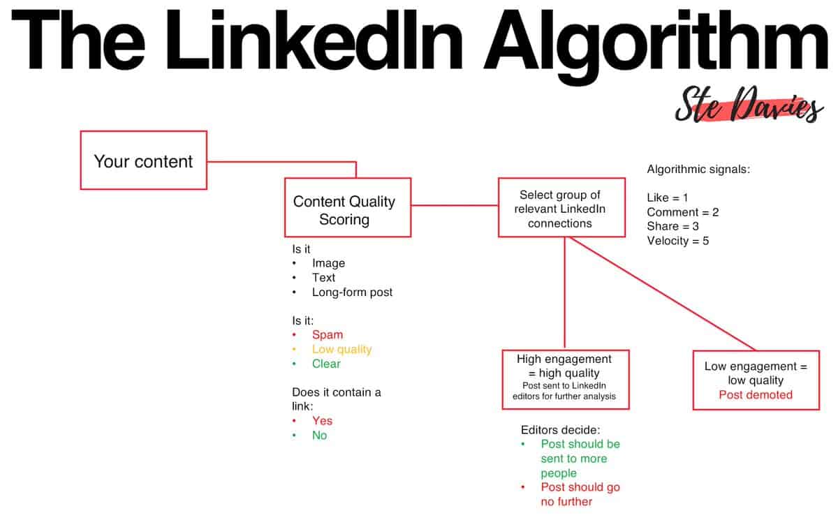 Revealed- Social Media Algorithms To Keep in Mind